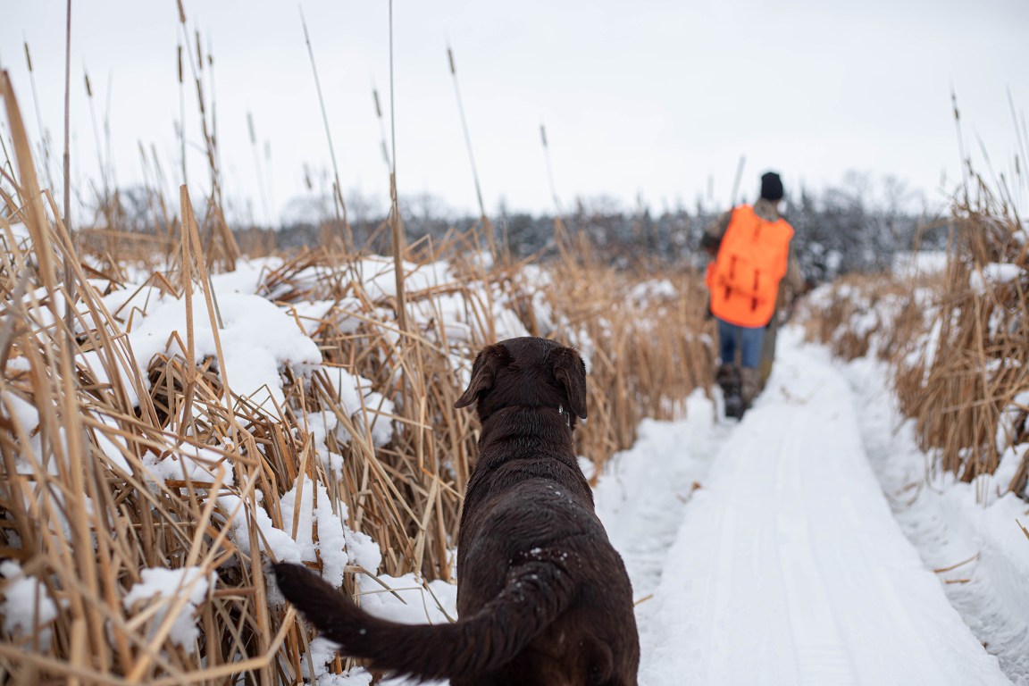 Here’s Where the Trump Administration Plans to Open Hunting, Fishing ...