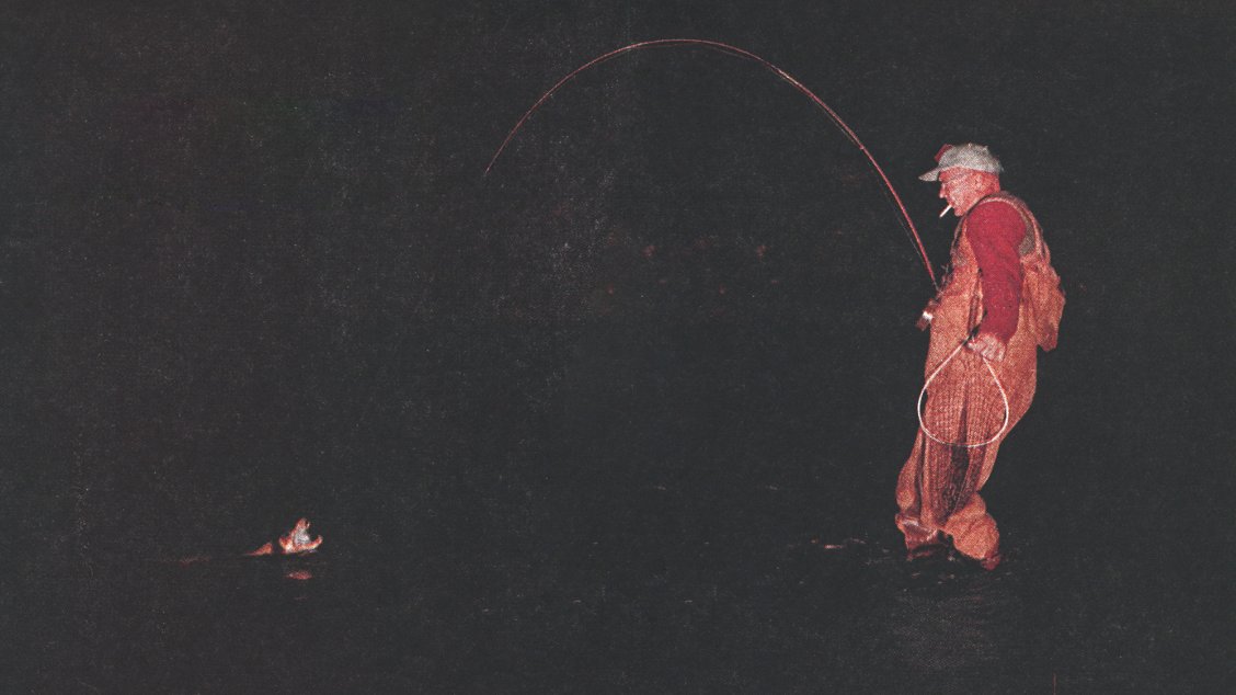 How I Discovered the Best Time to Catch Monster Brown Trout Is at Night ...
