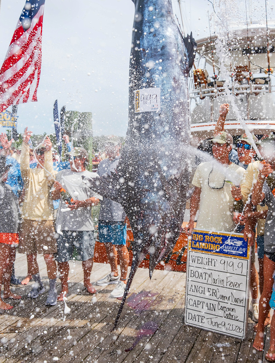 Nearly 1,000-Pound Blue Marlin Breaks Tourney Record, Nets Almost $900K ...