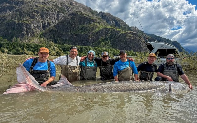 This Gigantic Sturgeon Needed Two Tape Measures and Would Have ...