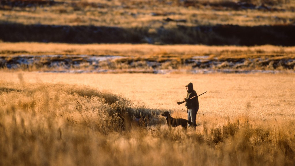 As Oregon Hunt-Fish Ban Inches Toward the Ballot, Every State ...